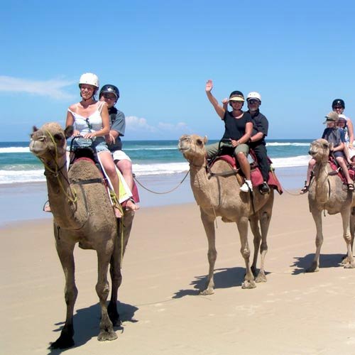 Fethiye Tours - Fethiye Excursions - Fethiye Turkey | Tourist ...